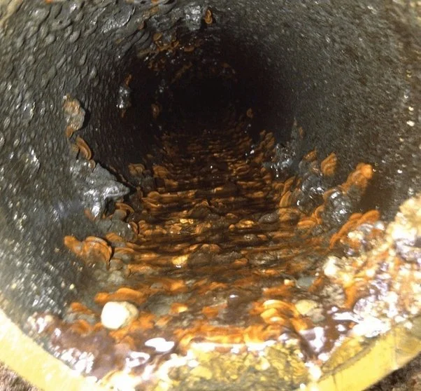 What’s In My Water? Health Concerns, Water Tests, & The Best Filter