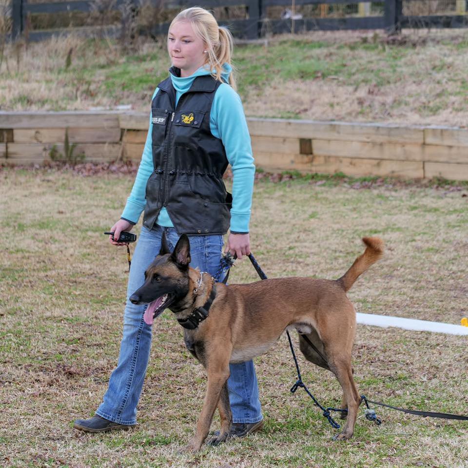 Meet the Trainer-Performing Paws Training & Boarding