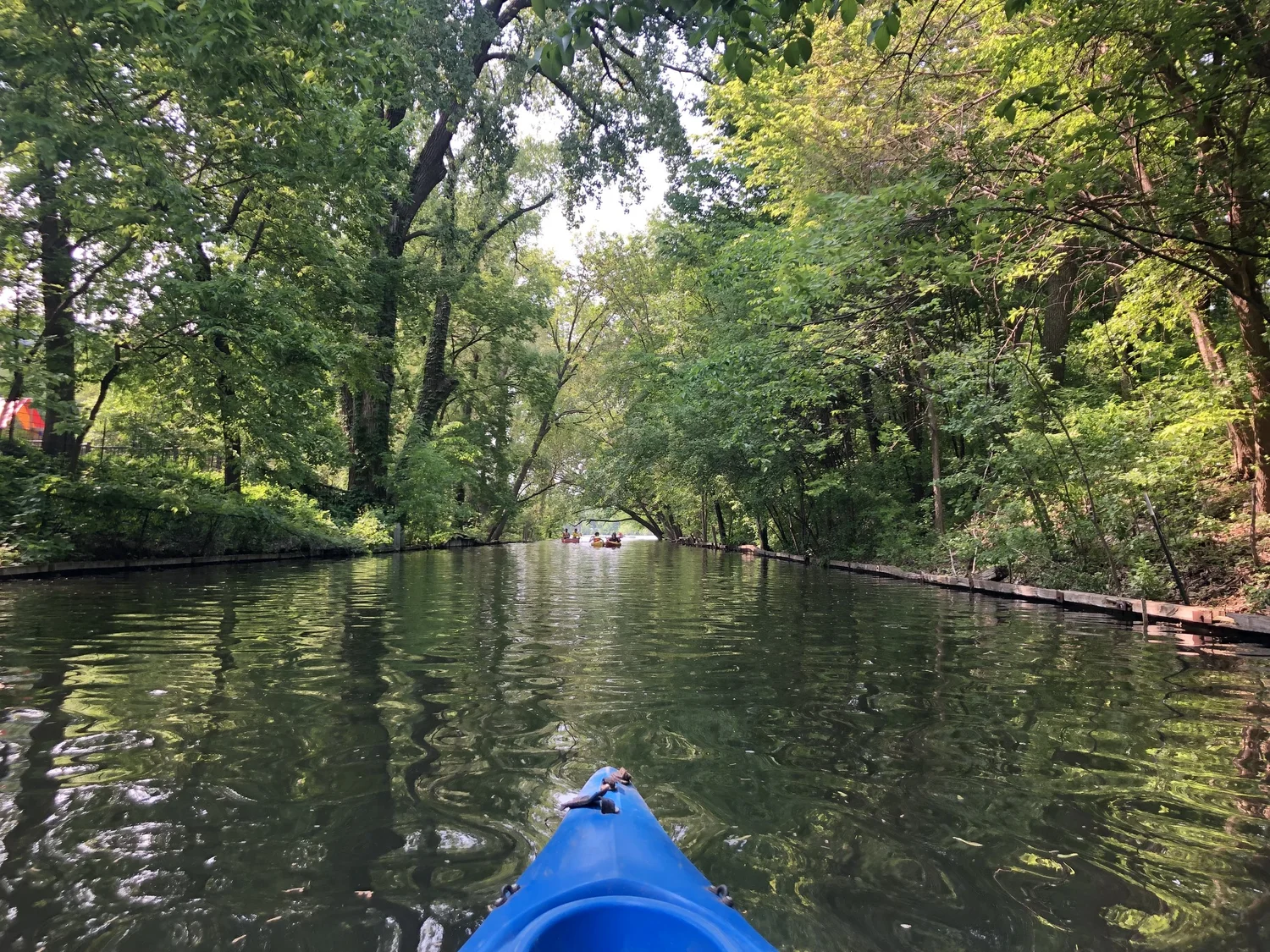 Cedar Lake and Lake of the Isles Plan - Minneapolis, Minnesota — Mend Collaborative | Landscape ...