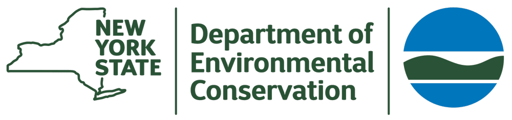 Wheelerville Trails | Caroga, New York