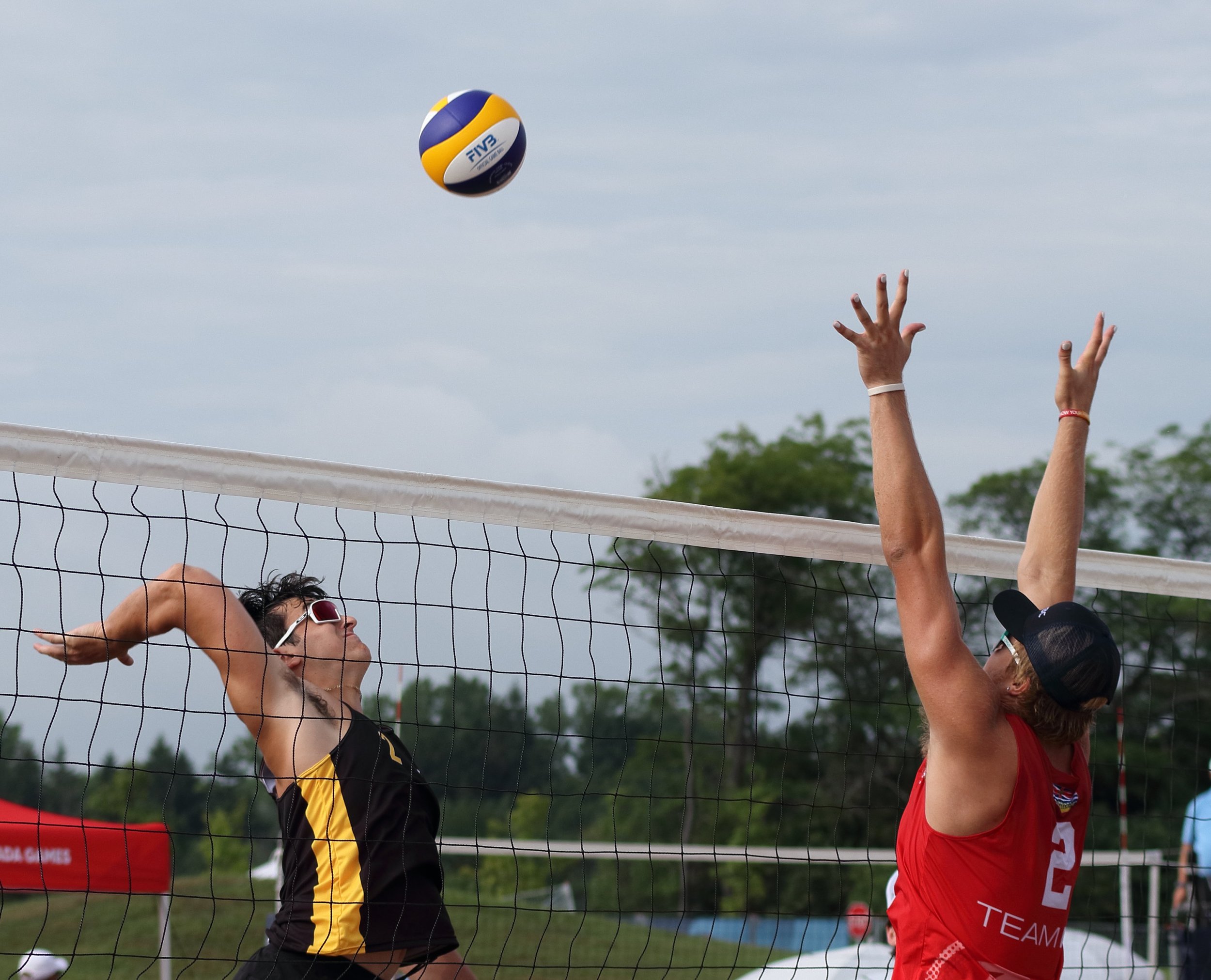 Beach Volleyball — The Herd Collection