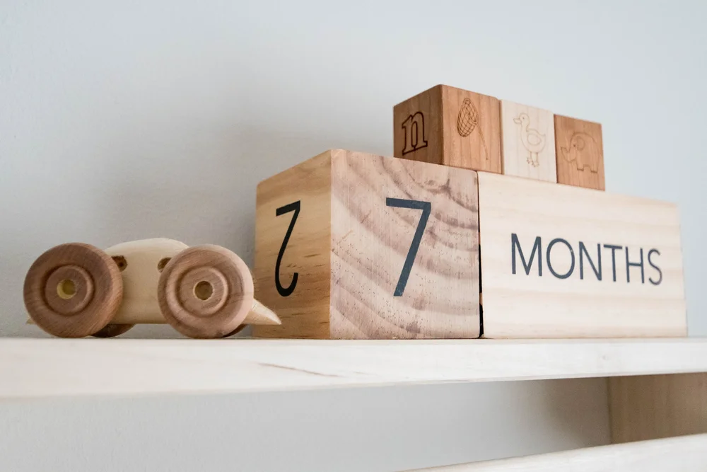 Petit Design Concept: Nature Nursery — Kierstin Smyth Design | Edmonton ...