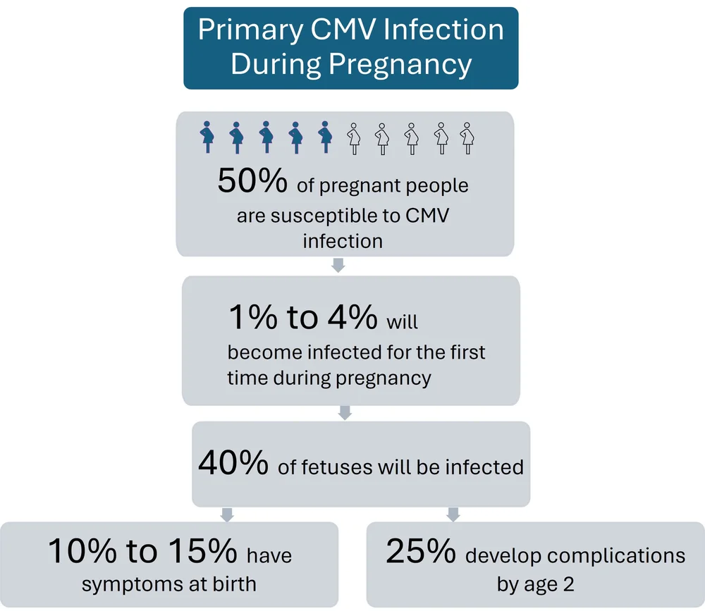 Cytomegalovirus (CMV) — High Risk Pregnancy Information