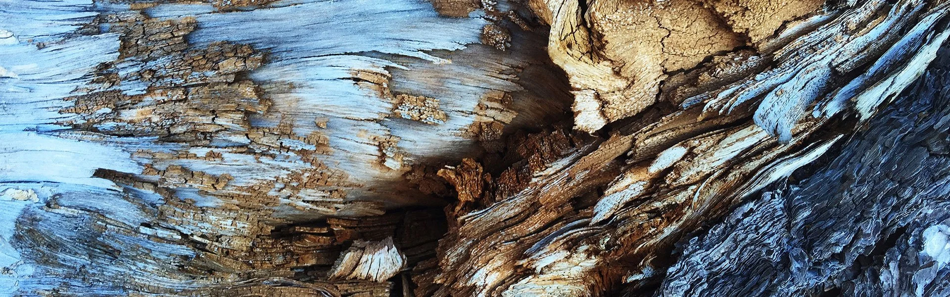 Pinnacle Paints® USA