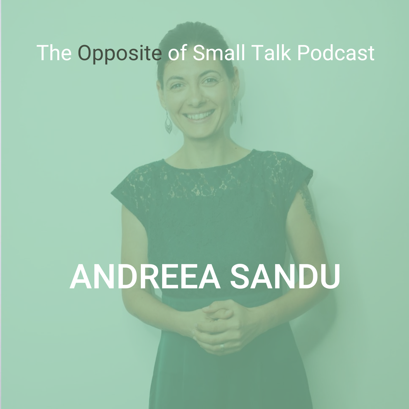 Episode 103: The Introvert Who Could, with Andreea Sandu — The Opposite ...
