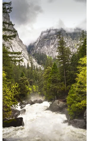 Overview — Upper Merced River Watershed Council