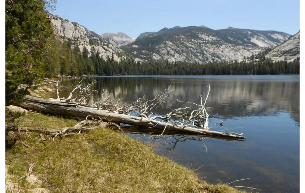 Overview — Upper Merced River Watershed Council