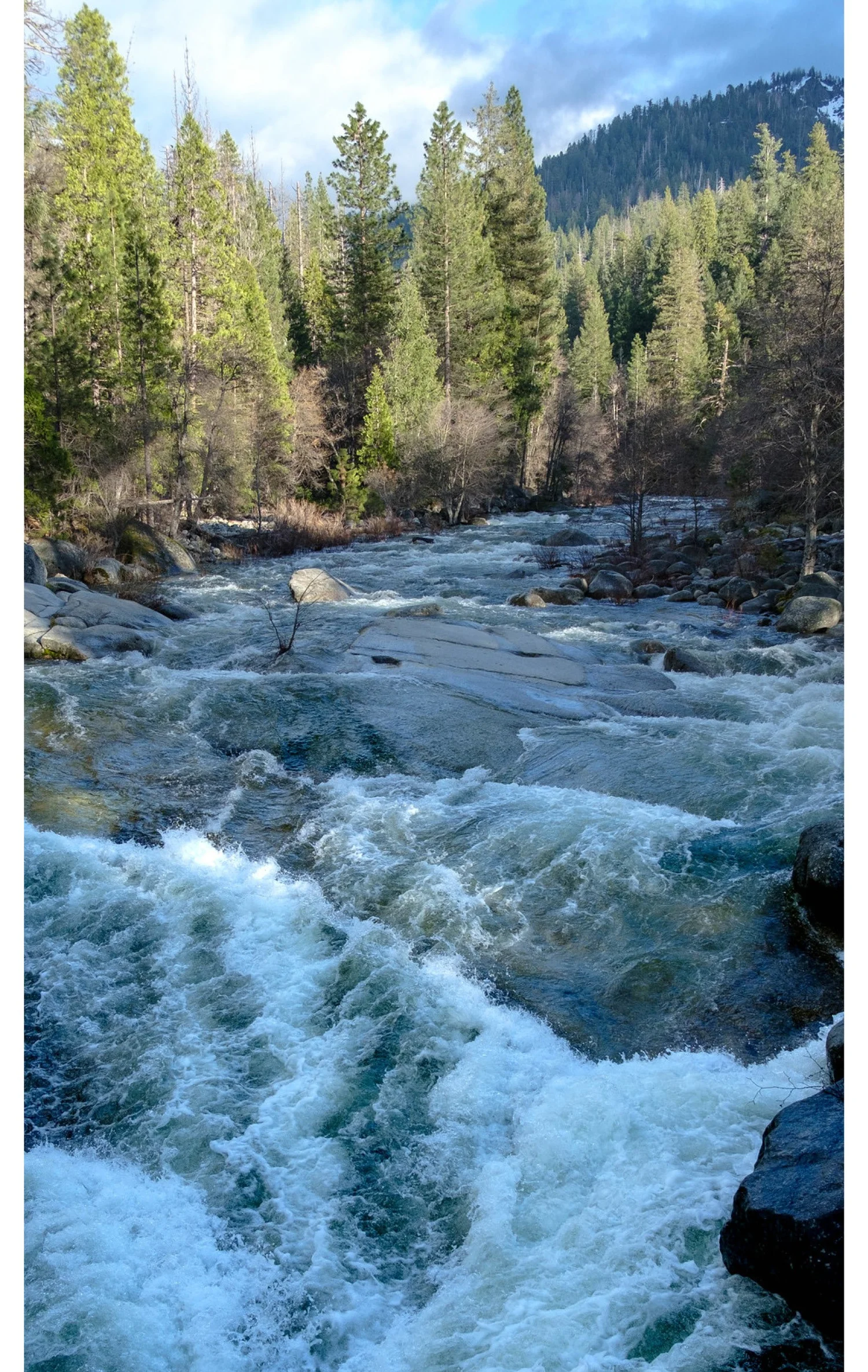 Overview — Upper Merced River Watershed Council