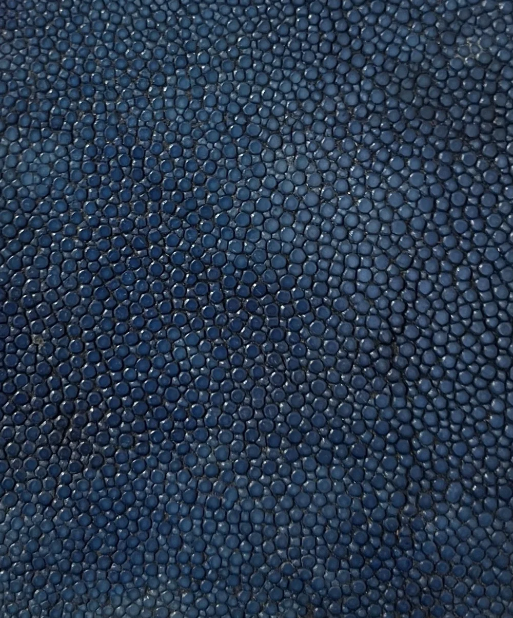 Parchment & Shagreen — Newell Design Studio