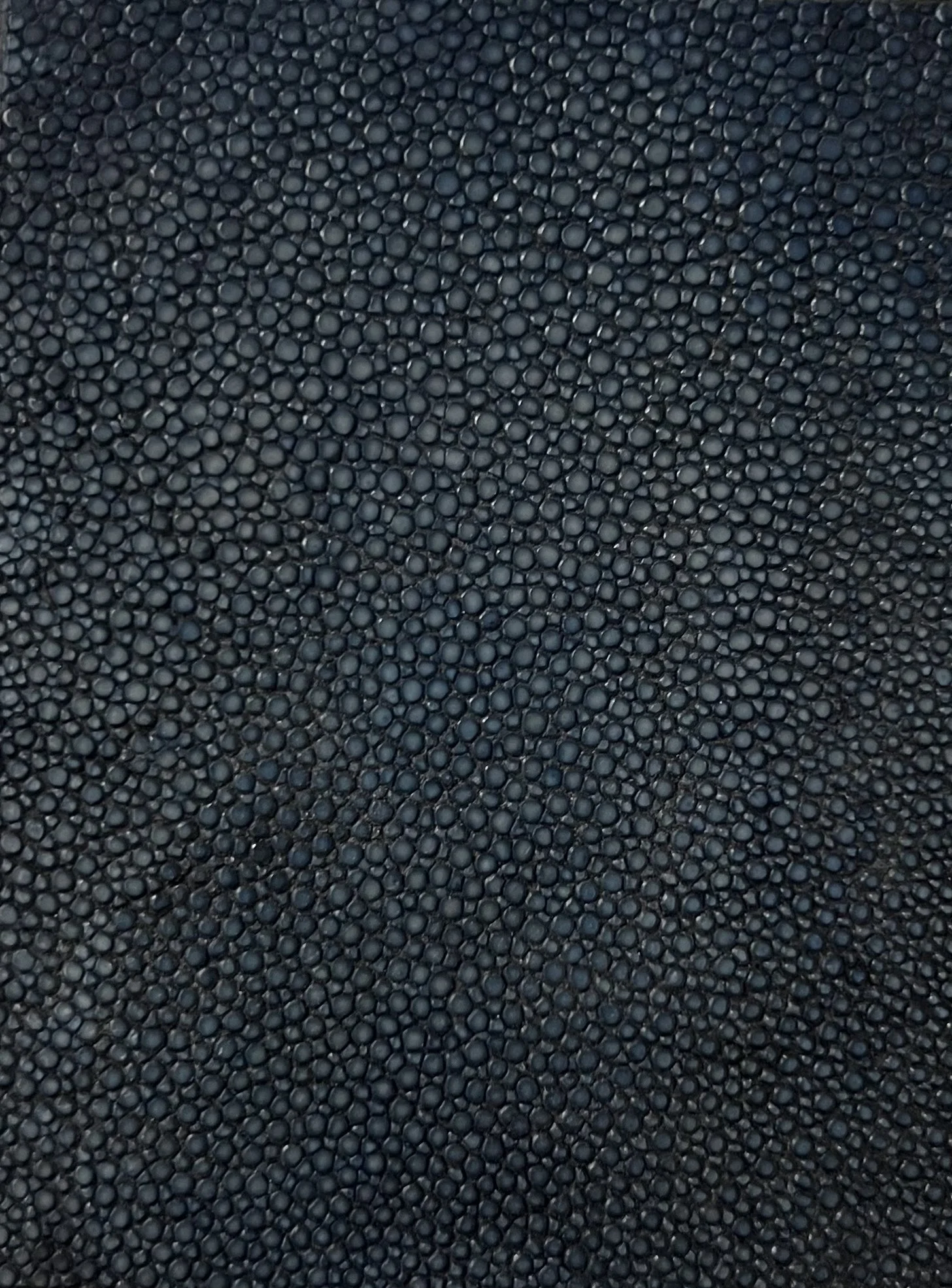 Parchment & Shagreen — Newell Design Studio