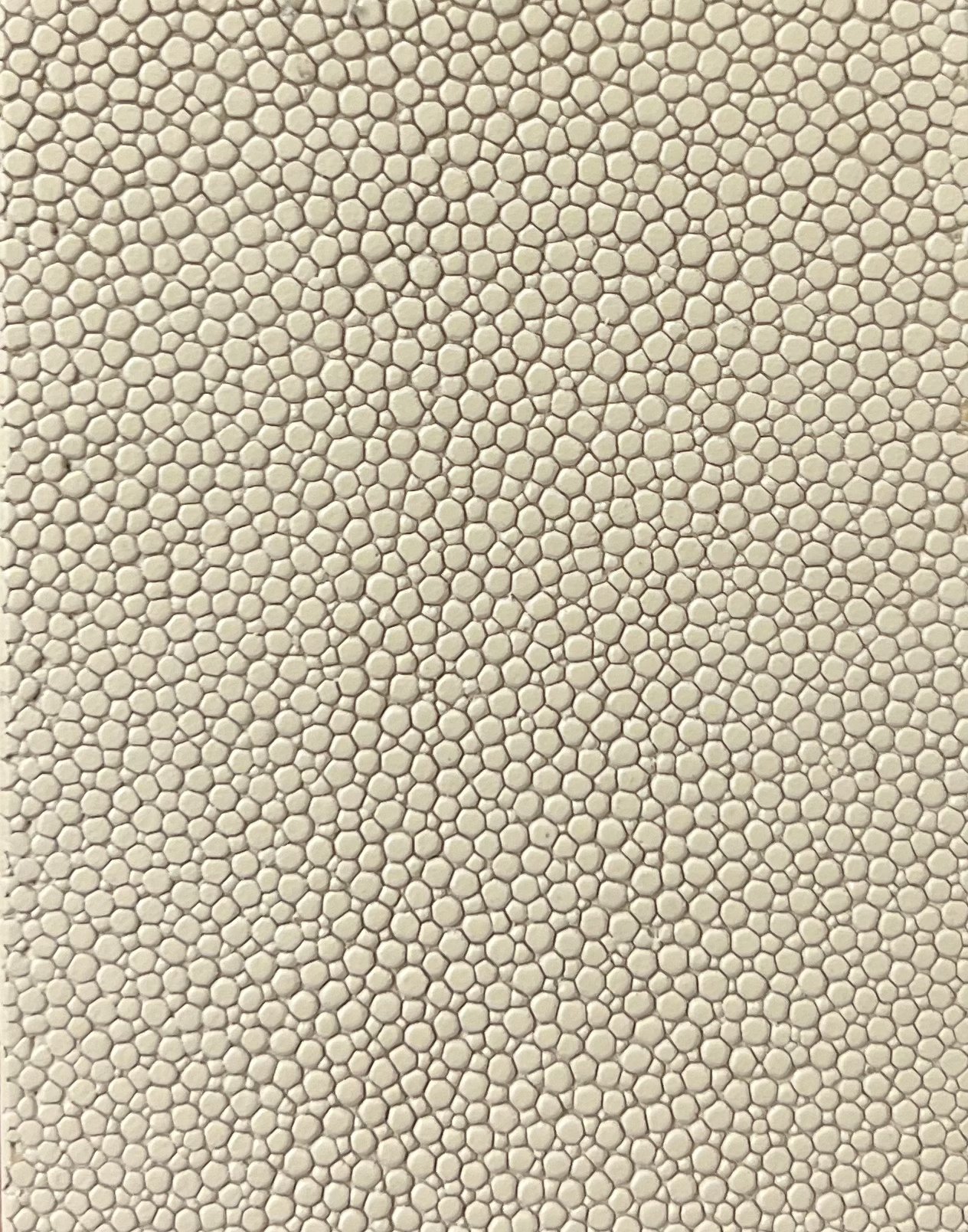 Parchment & Shagreen — Newell Design Studio