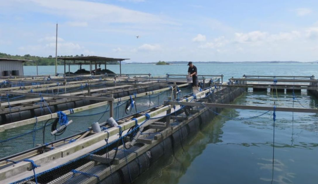 Aquaculture Ponds — KNTA Architects