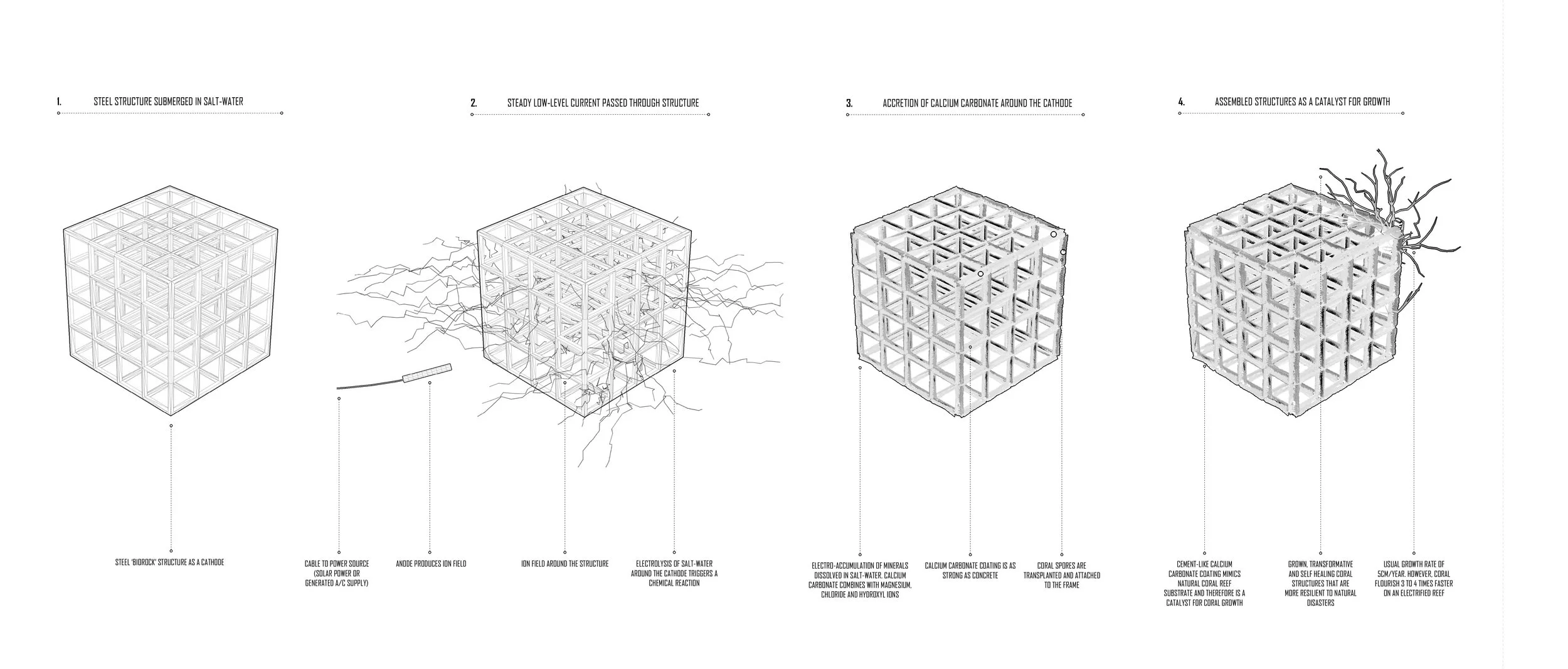 Biorock Technology — KNTA Architects