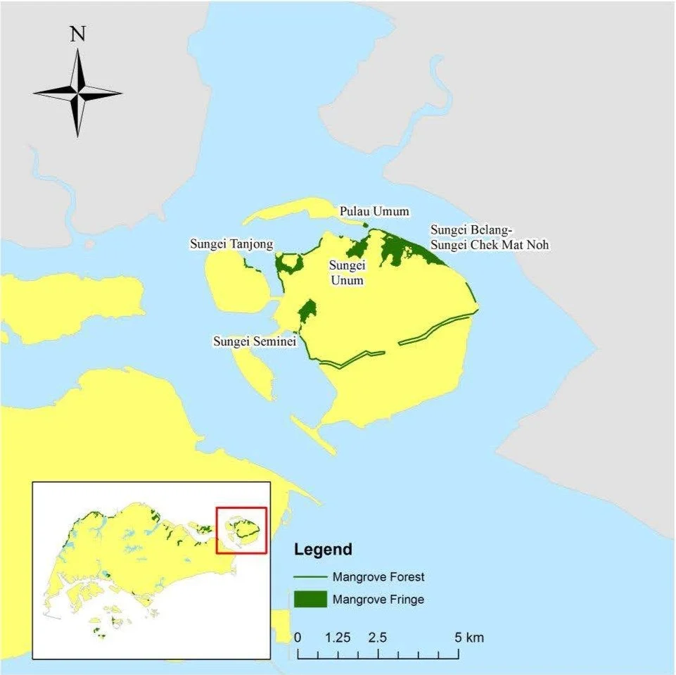 Singapore: Pulau Tekong — KNTA Architects