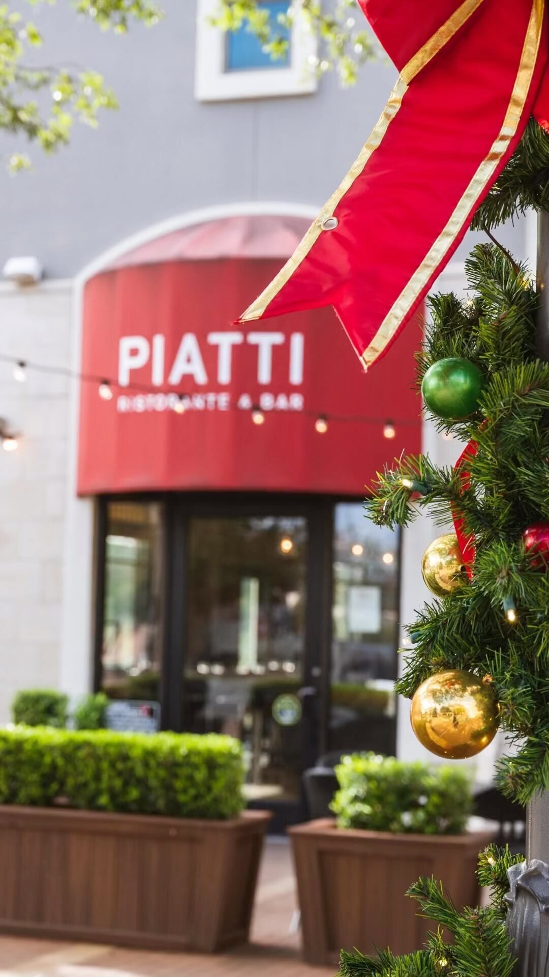 Menu — Piatti – Mill Valley