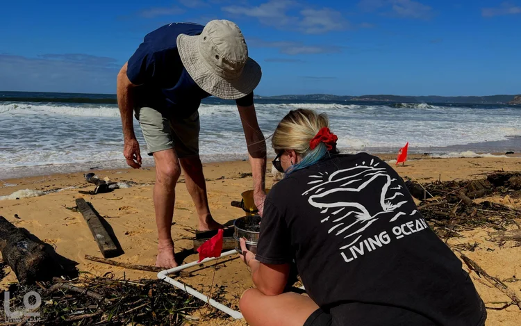 Australian Microplastics Assessment Project Ausmap — Living Ocean