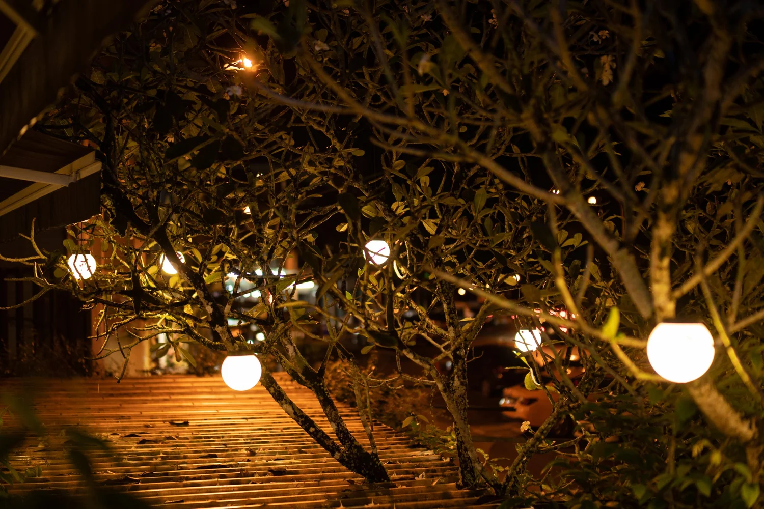 ZINC | Restaurant & Bar