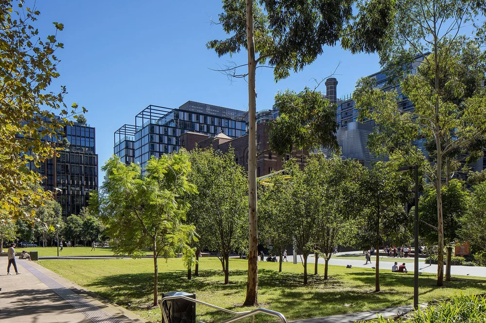 Central Park — Turf Design Studio