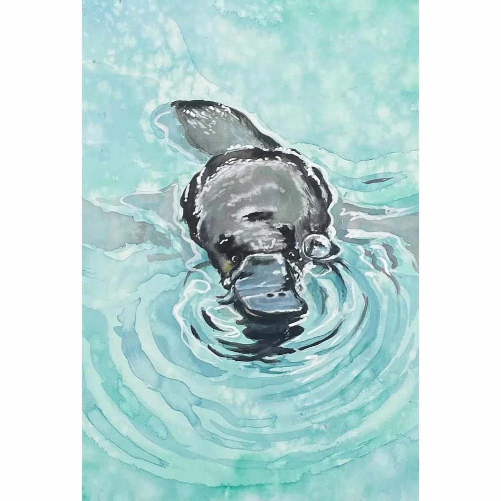 Platypus Painting