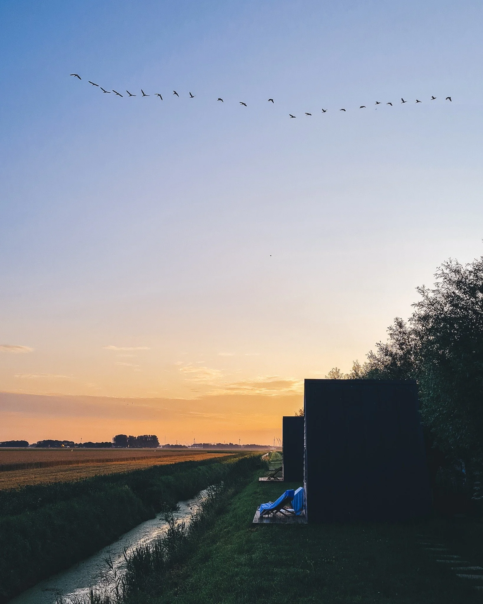 Fotografie in het juiste perspectief: zo groot is de invloed van je ...