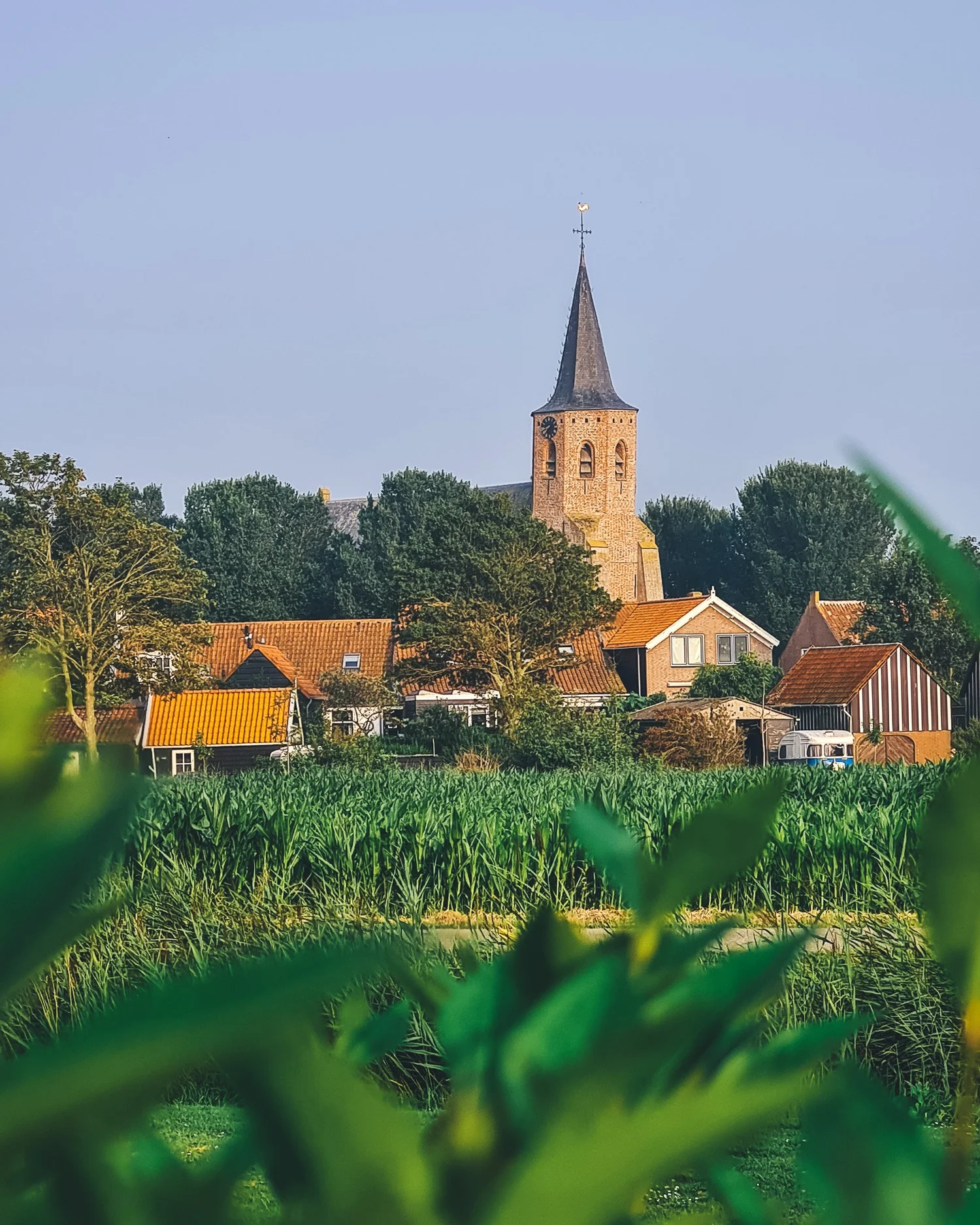 Fotografie in het juiste perspectief: zo groot is de invloed van je ...