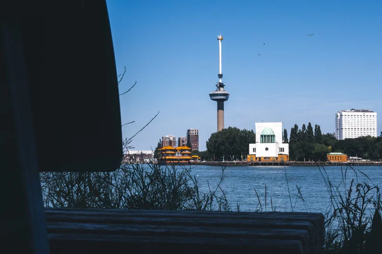 Fotografie in het juiste perspectief: zo groot is de invloed van je ...