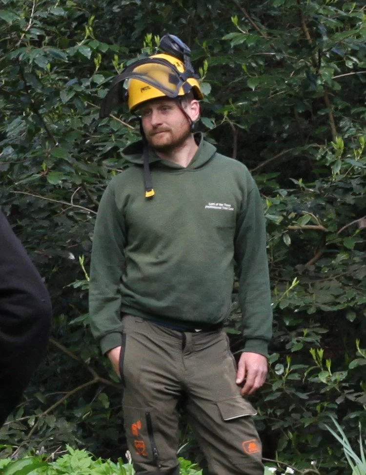 Edinburgh Tree Surgeon - Lord Of The Trees