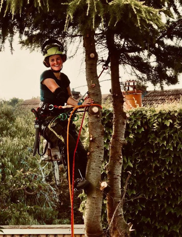 Edinburgh Tree Surgeon - Lord Of The Trees