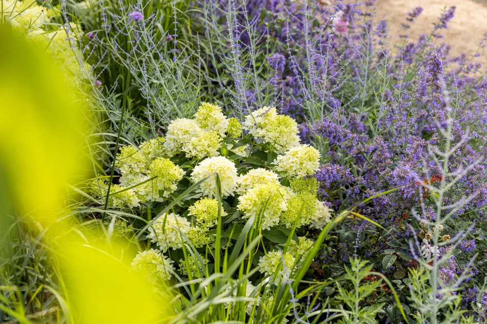 Services | Transform Your Garden Today — Cunningham Gardens