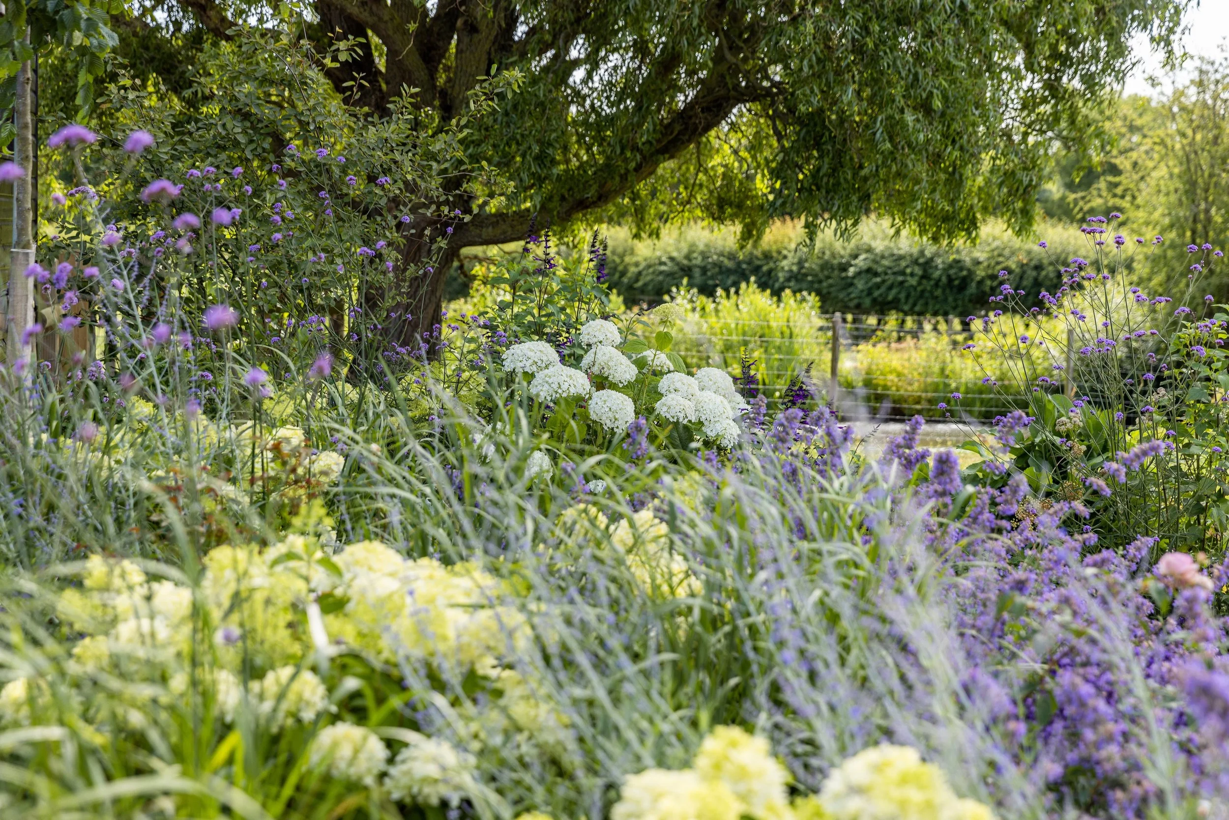 Meet the team | Meet Our Gardening Experts — Cunningham Gardens