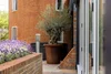 Cunningham Gardens | Transform Your Garden Today