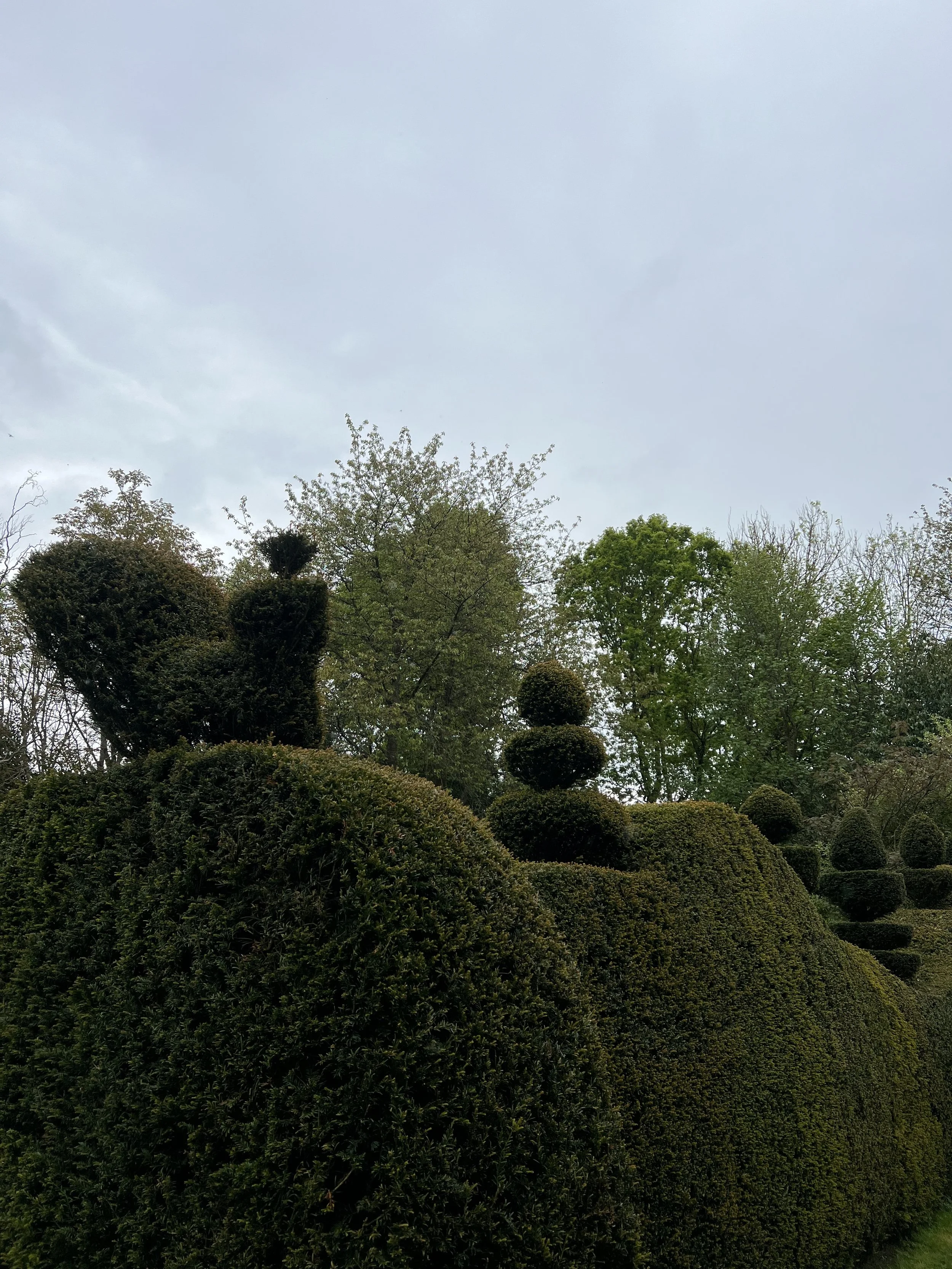 Meet the team — Cunningham Gardens