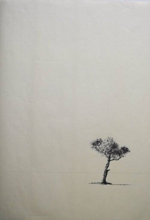 Felicity Warbrick - Original Print — Kellie Miller Arts