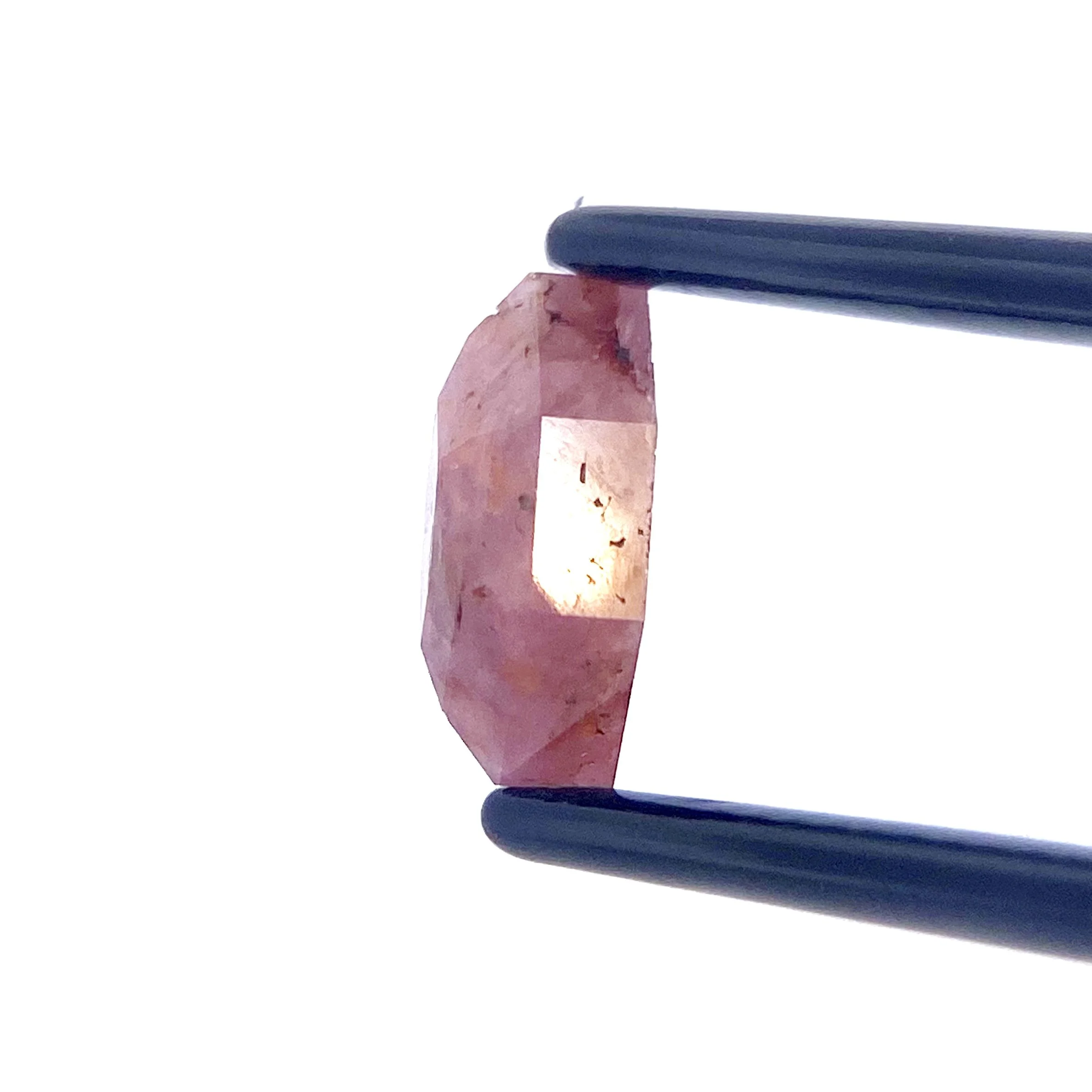 Store 1 — Tay Rae