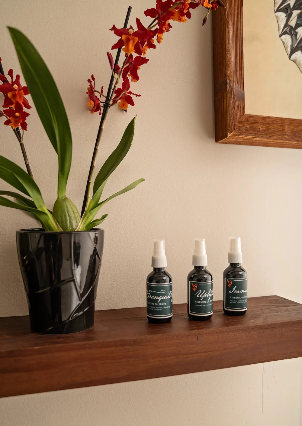 Monarch Massage & Spa | Relax, Rejuvenate, Book Today