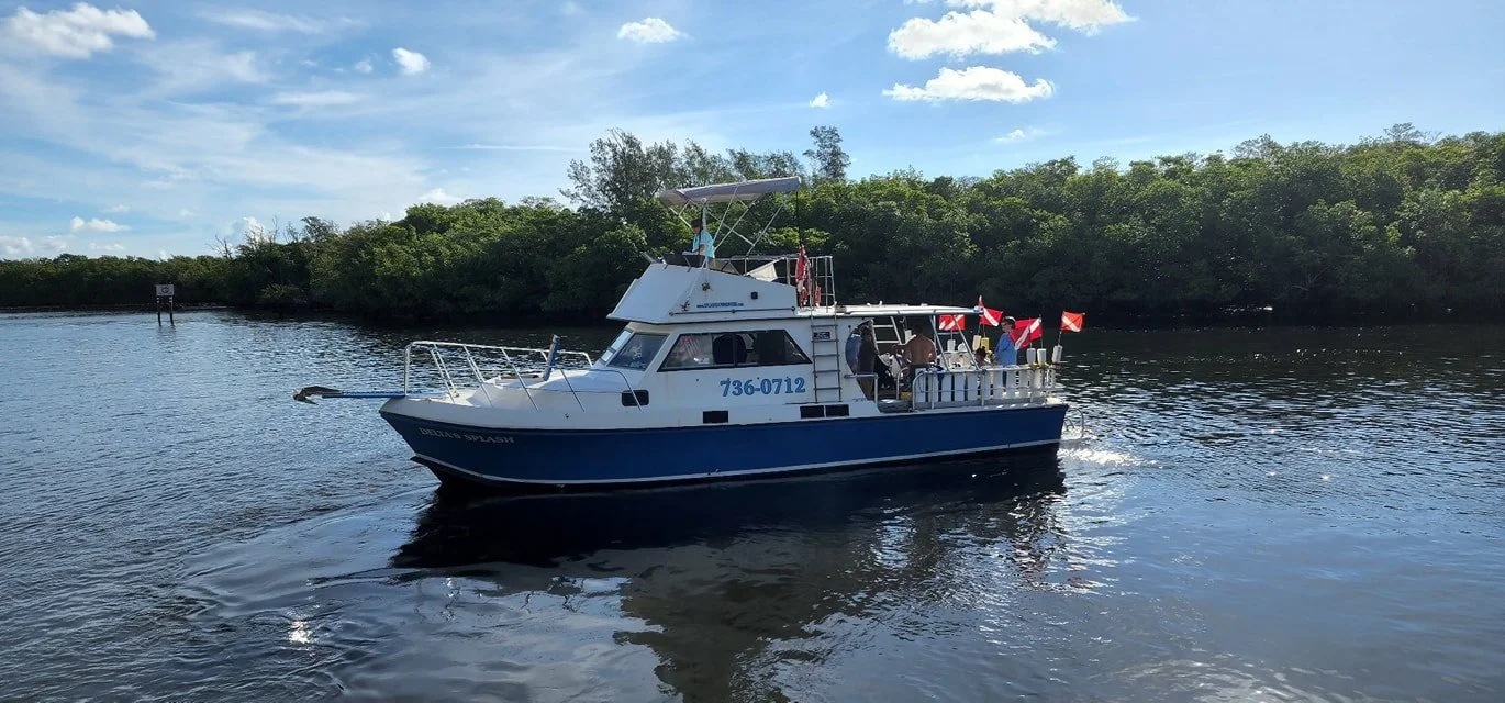 About — Splash Down Divers