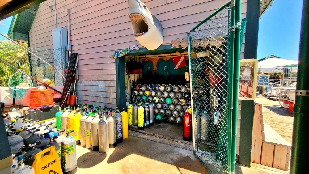 Splashdown Divers Charter