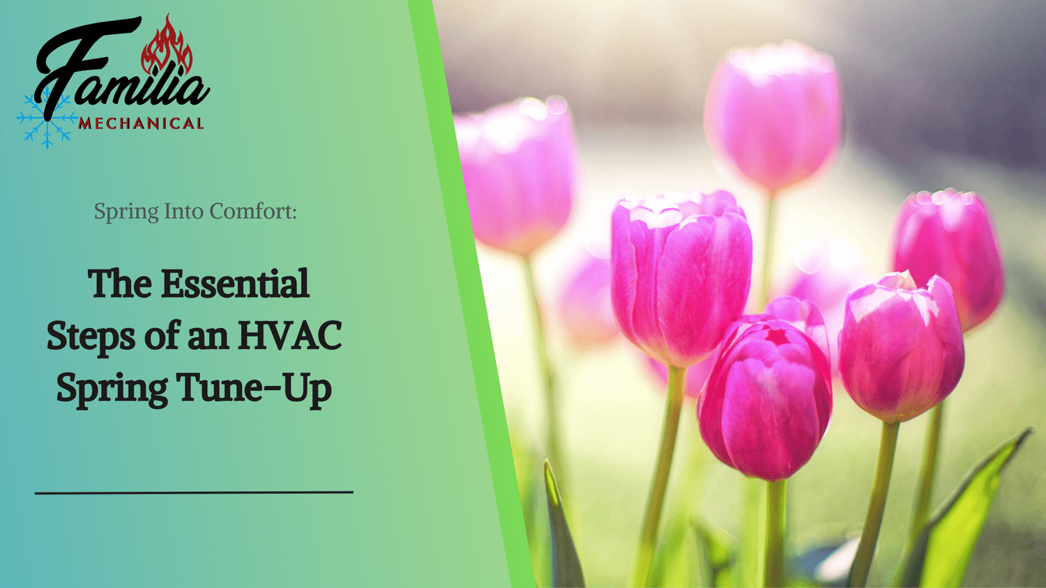 Spring Into Comfort: The Essential Steps of an HVAC Spring Tune-Up ...
