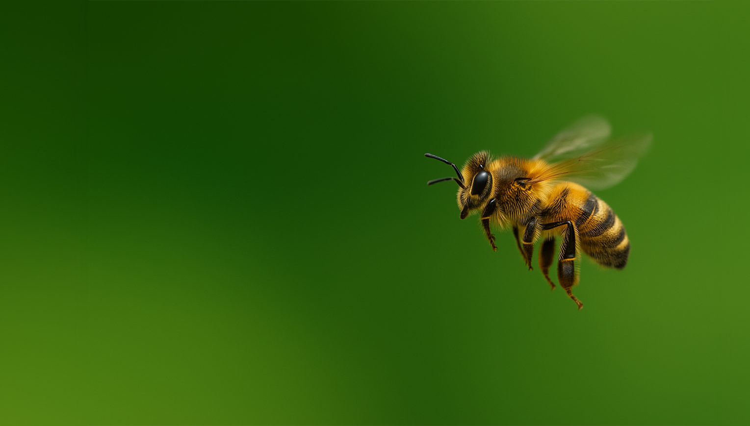 We've set up 200+ hives at 73 locations in metro Detroit and were just ...