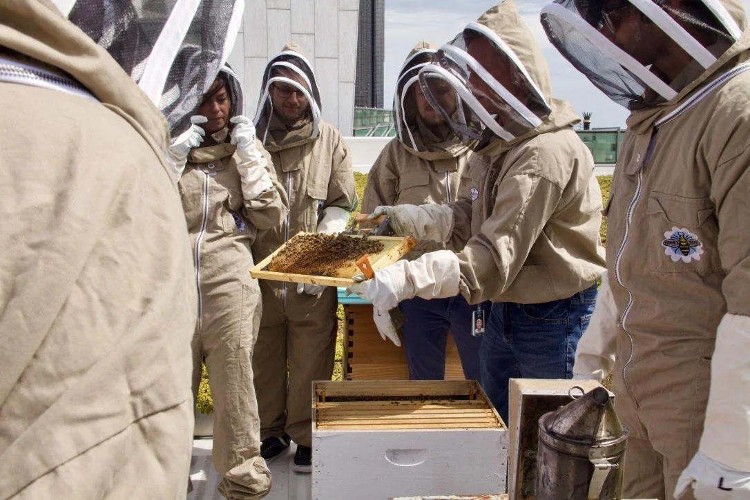 We've set up 200+ hives at 73 locations in metro Detroit and were just ...
