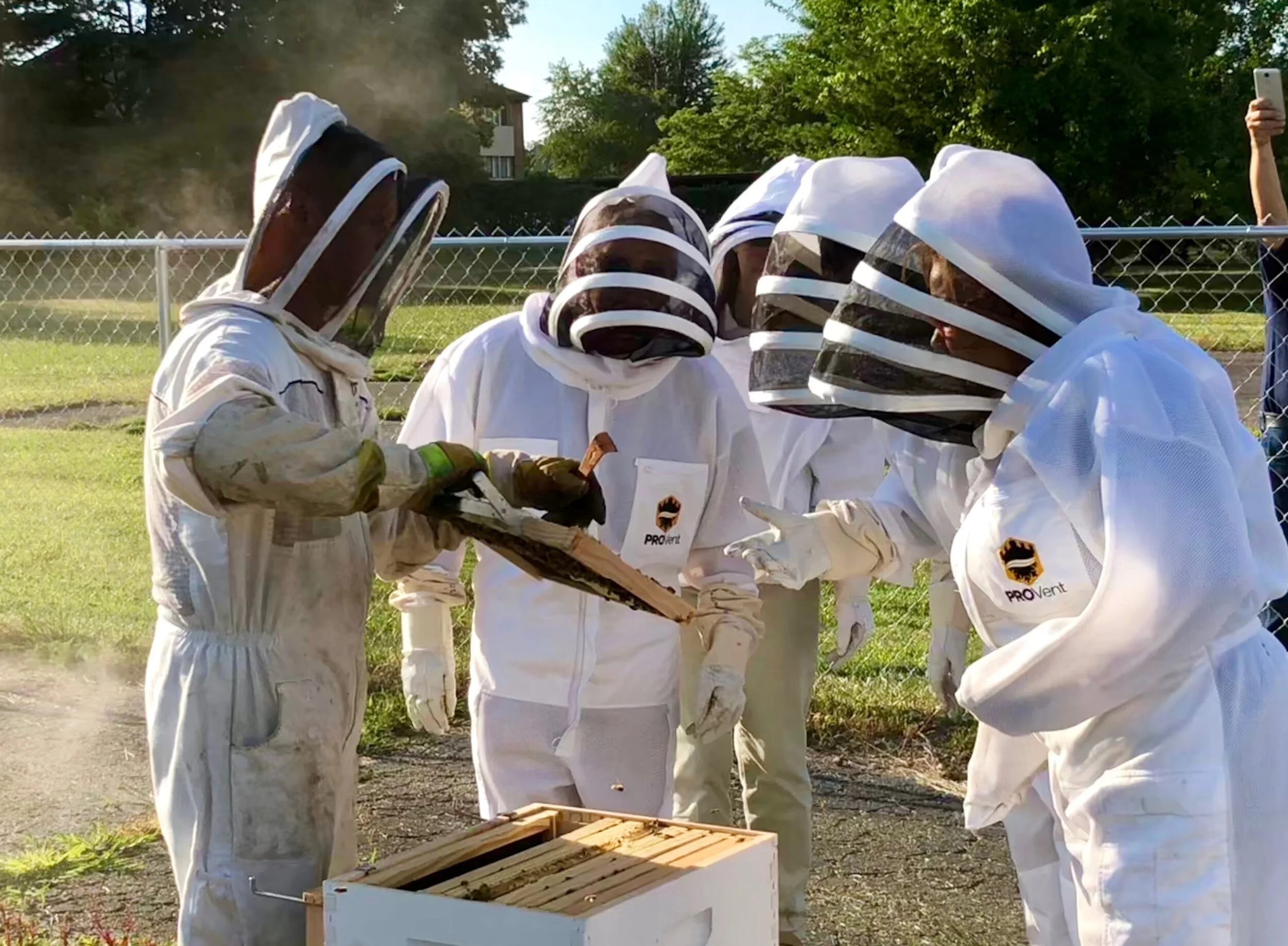Shop — Bees in the D