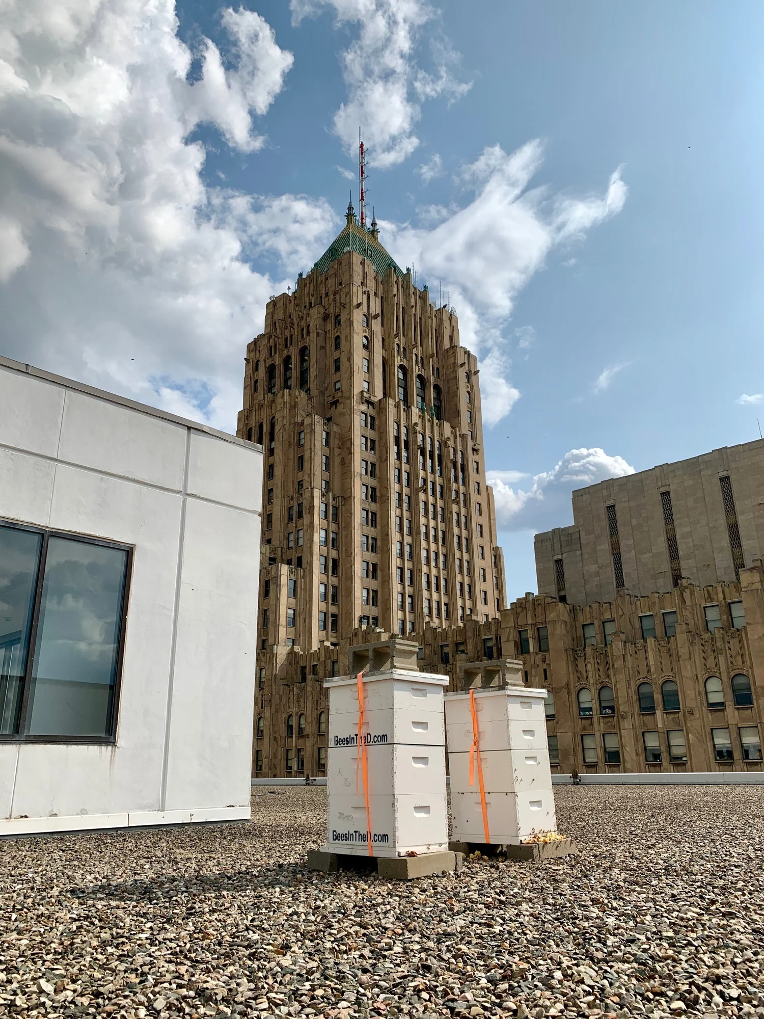 Presentations — Bees in the D