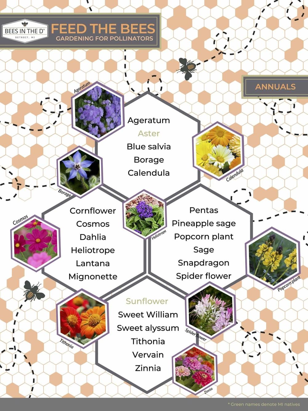 Pollinator Friendly Plants — Bees in the D