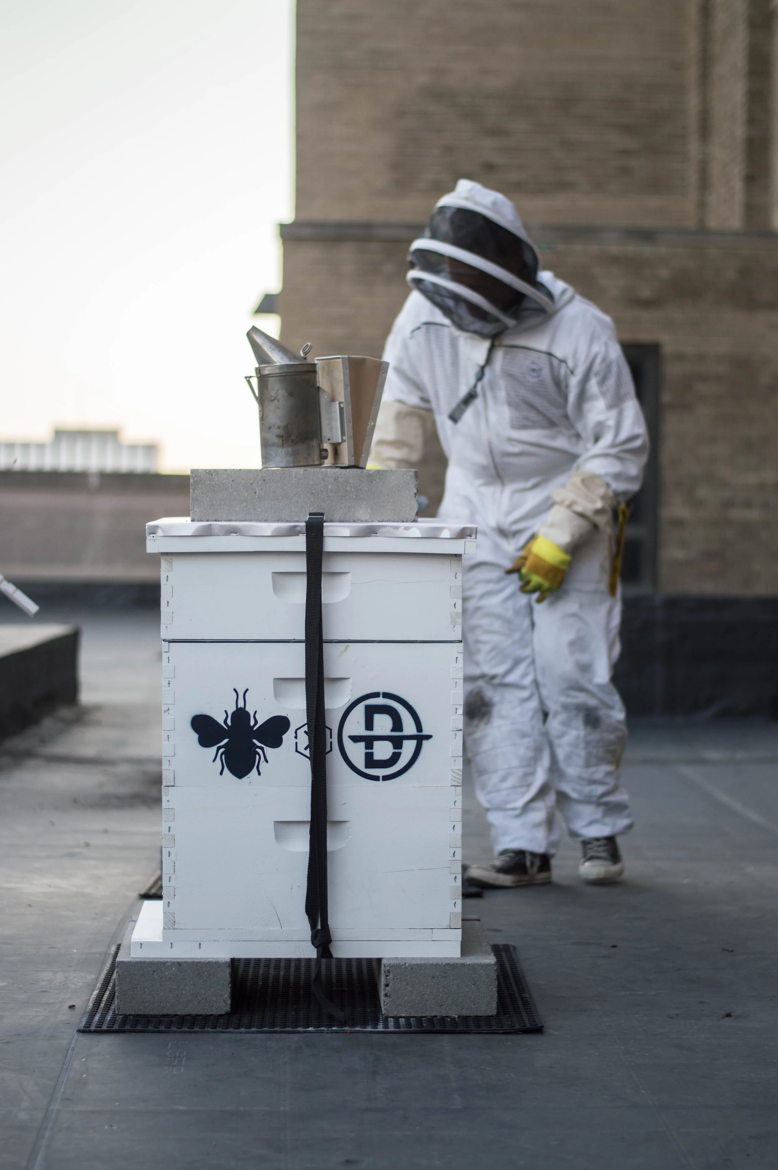 Help Out at an event — Bees in the D