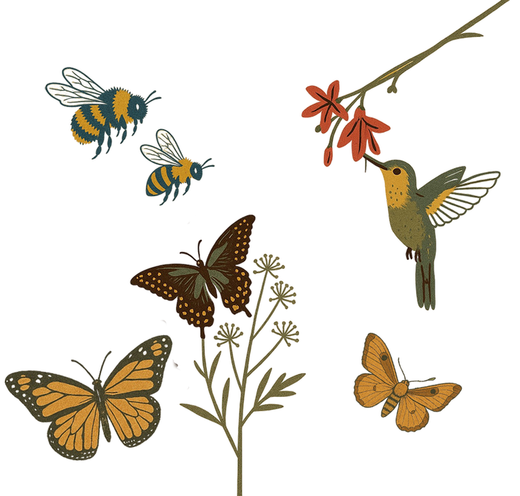 Meet The Pollinators — Bees in the D