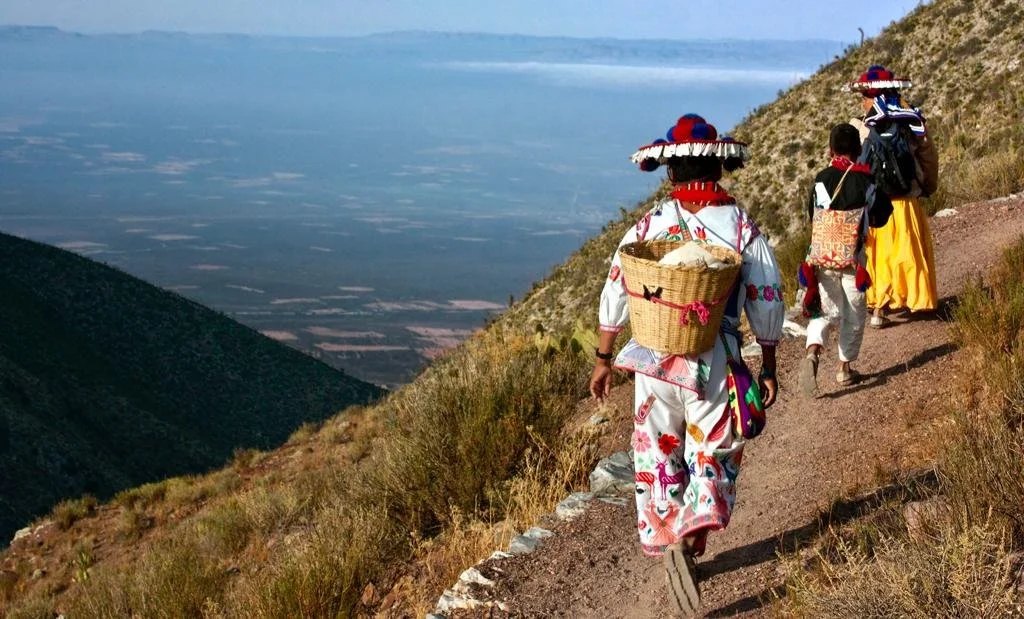 Traditional Wixárika Peyote Ceremonies this Dec 2023 at Casa Floresta ...