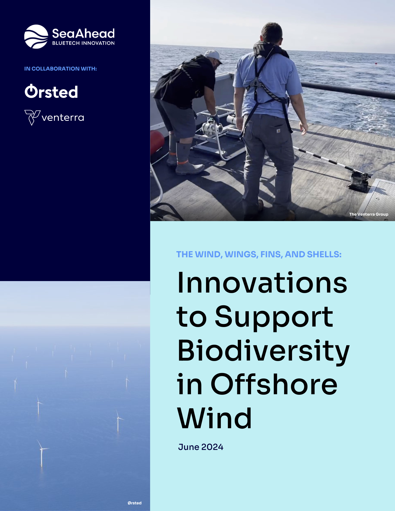 White Papers — SeaAhead