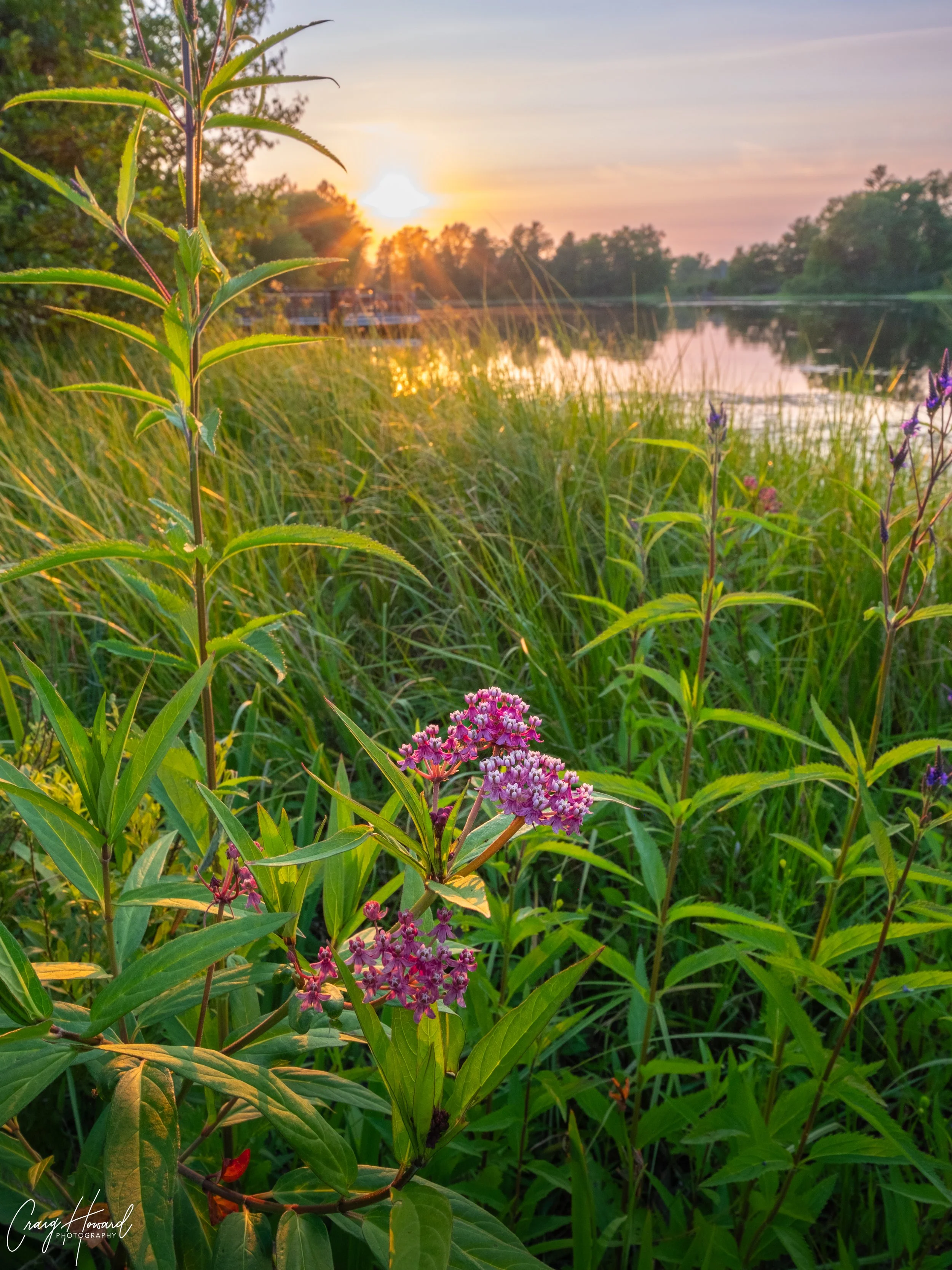 Craig Howard Photography