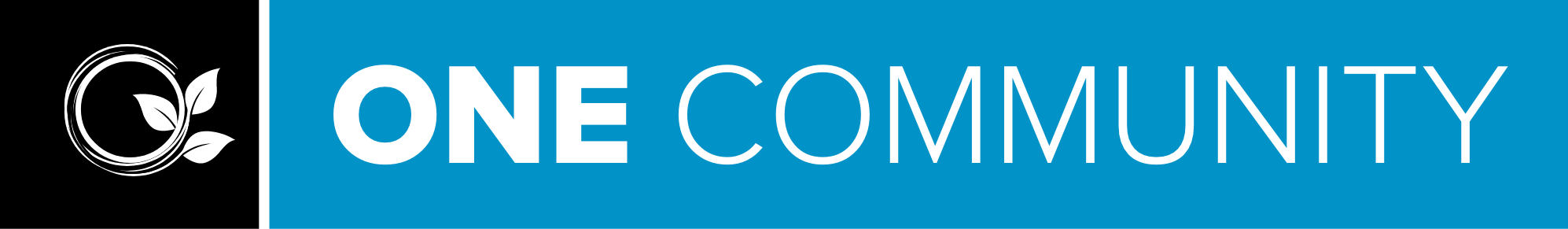 Mission Partners — REAL LIFE CHURCH