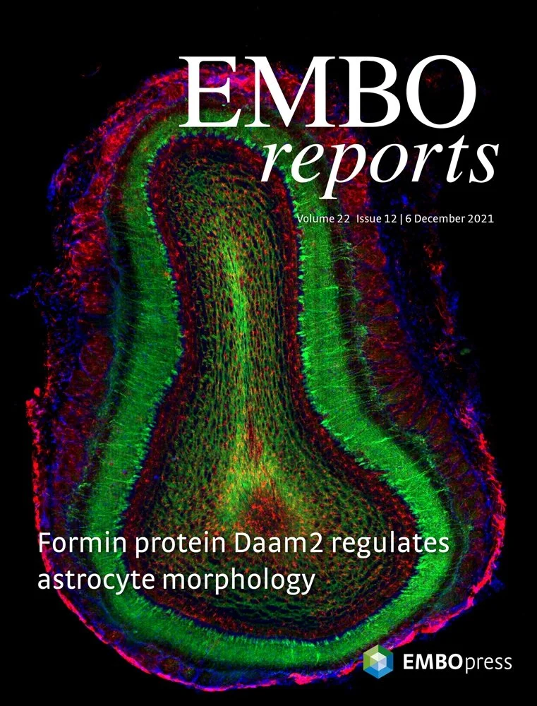 Publications — Hyun Kyoung Lee Lab